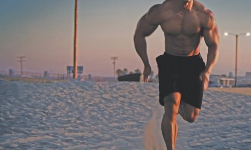 Horleys - Best Way to Gain Weight?